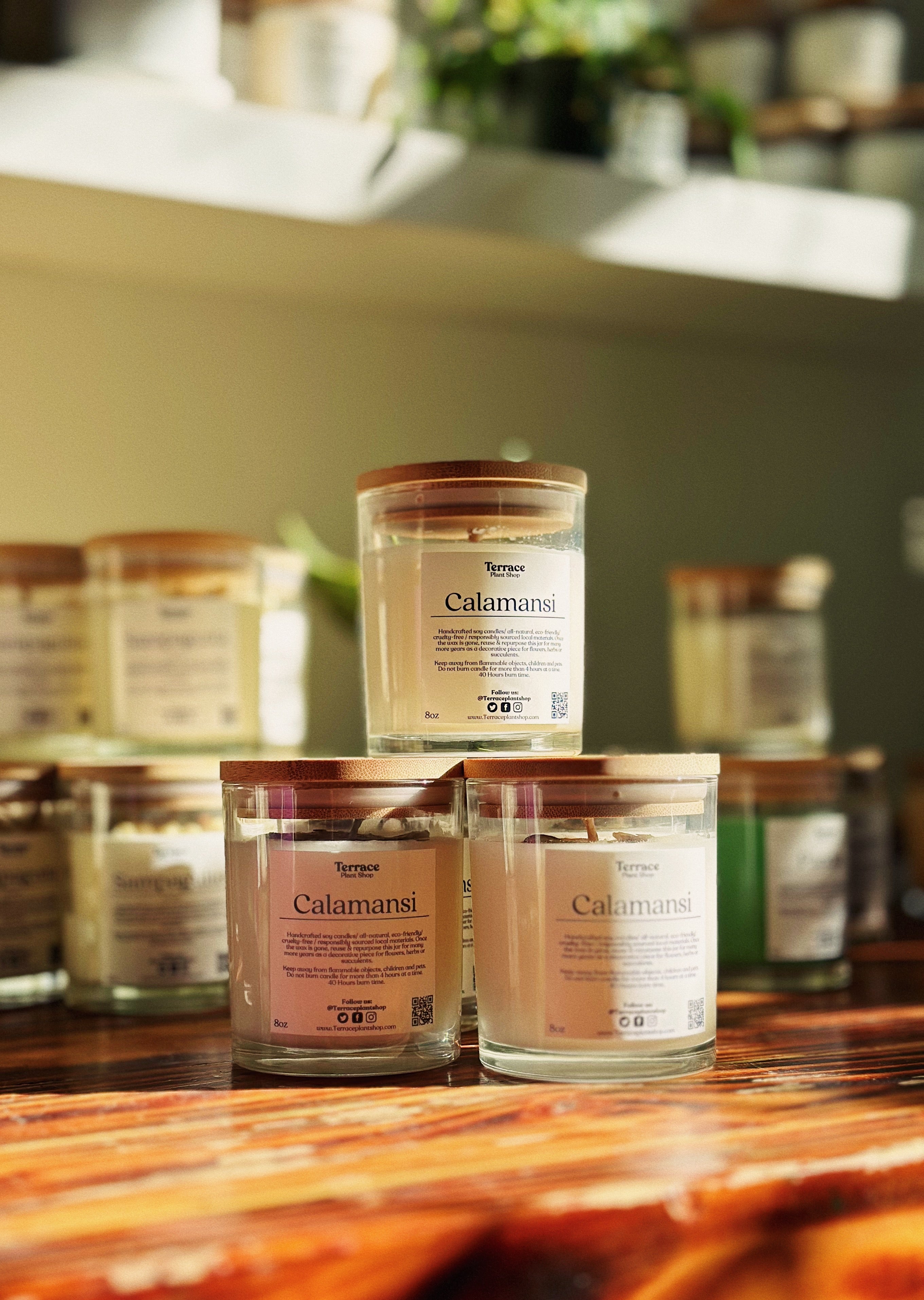 Philippine-Scented Candles (Ube, Pandan, Calamansi) | Terrace Plant Shop